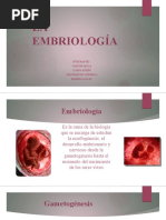 Etapas del desarrollo embrionario del pollo | PDF | Embrión | Huevo