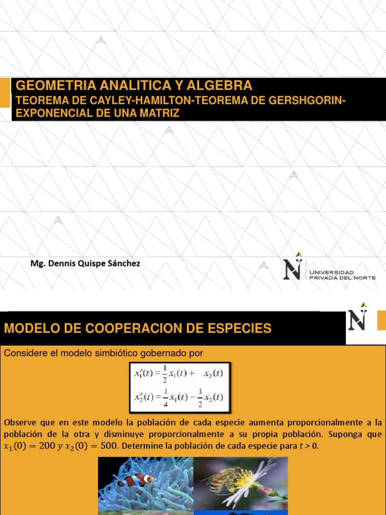 S15-Gaa-Exponencial de Una Matriz-Teoremas de Cayley y Gershgorin | PDF ...