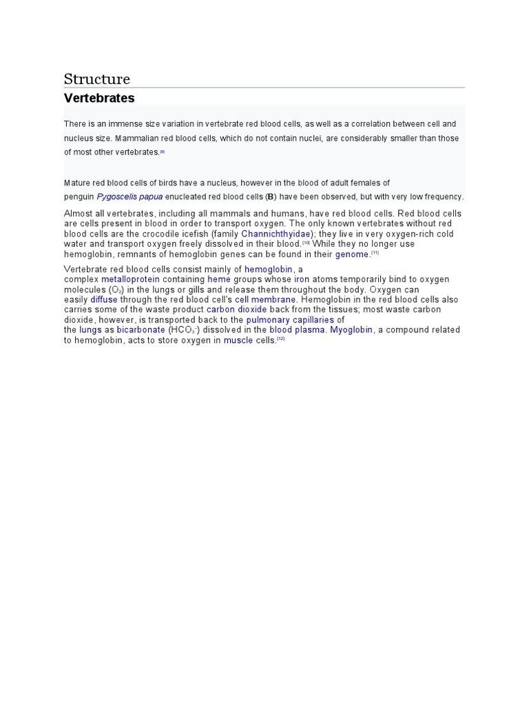 Vertebrate Red Blood Cell Structure | PDF | Science & Mathematics