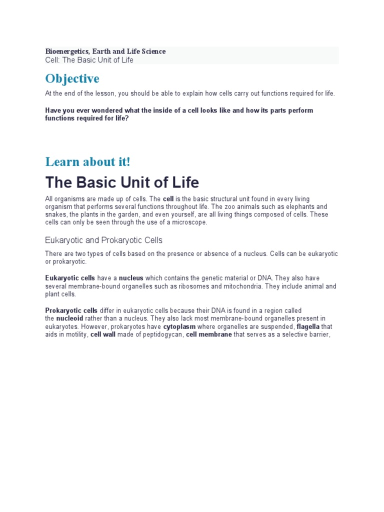 The Basic Unit of Life: Objective | PDF | Endoplasmic Reticulum | Cell ...