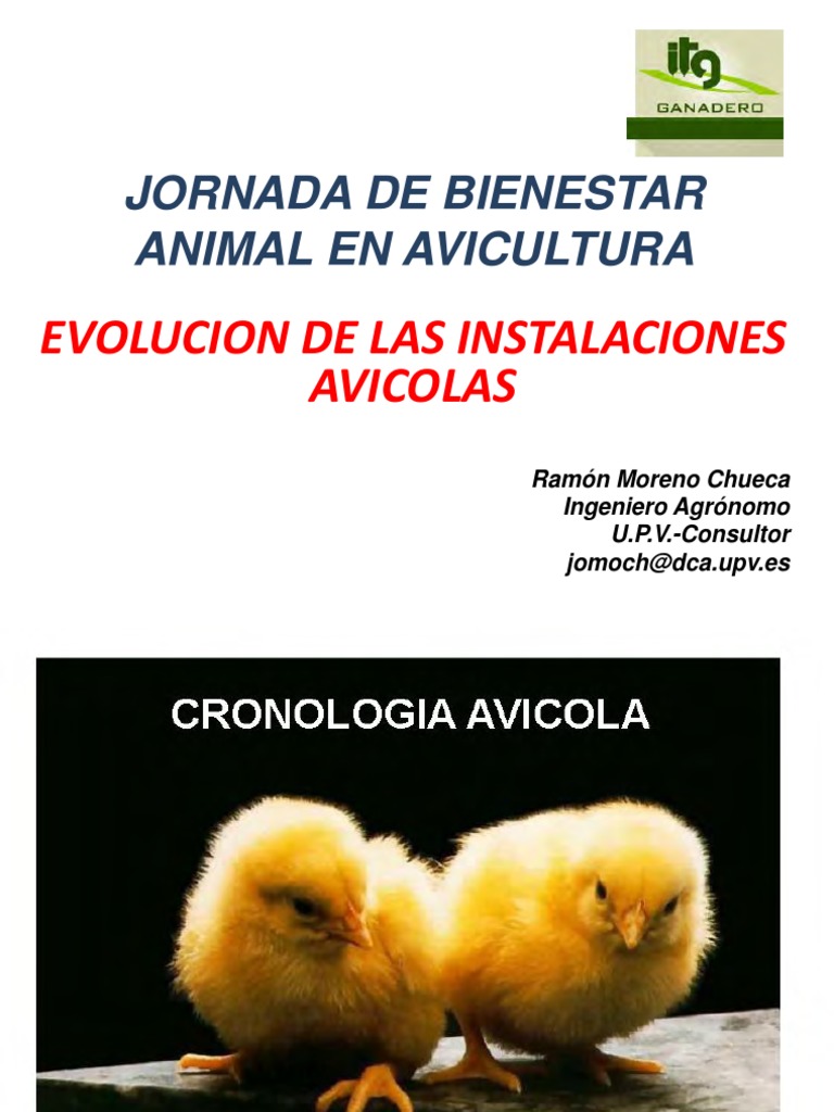 Prod - Aves PPT 1 | PDF