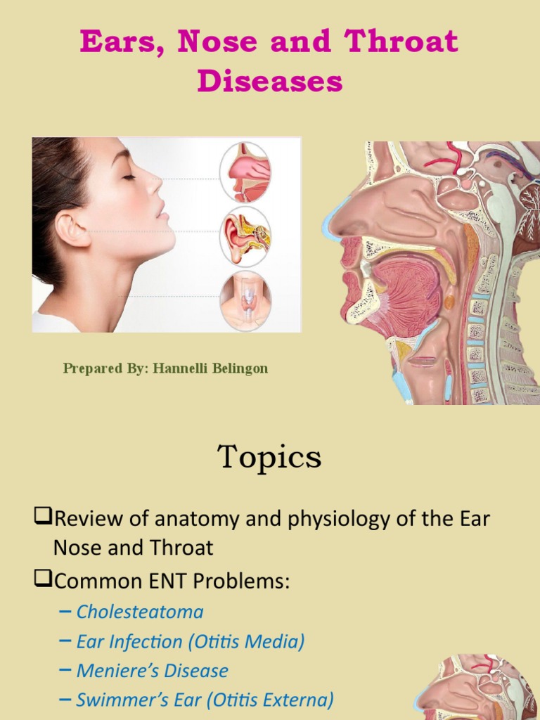 Ent Diseases | PDF | Ear | Human Nose