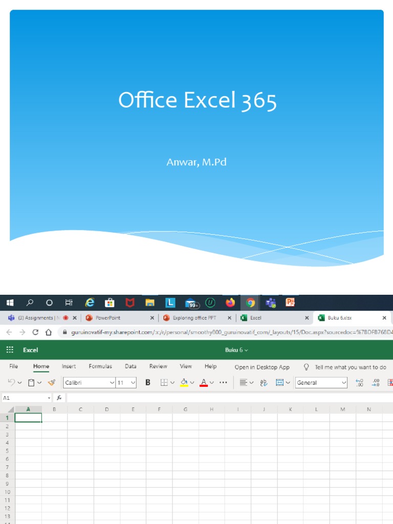 Office Excel 365 | PDF
