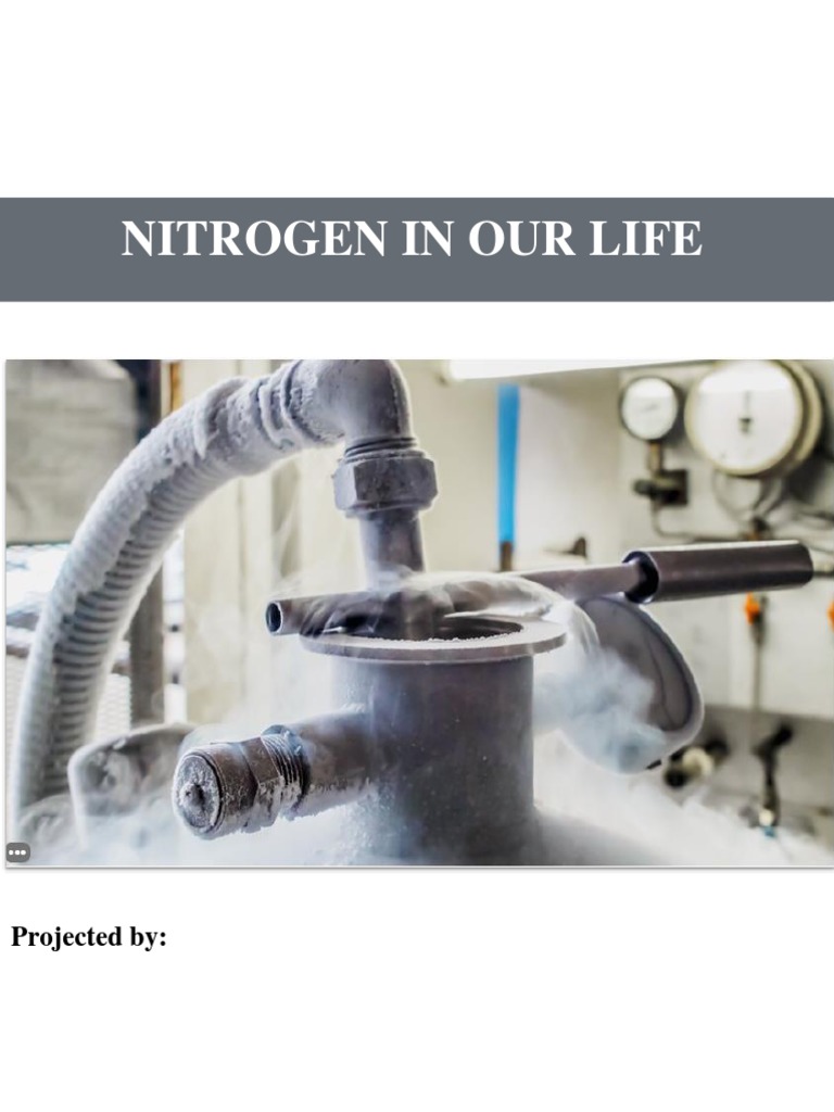 Nitrogen's Role in Life and the Cycle | PDF | Nitrogen | Soil