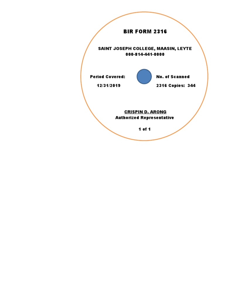 Bir DVD-R Format | PDF