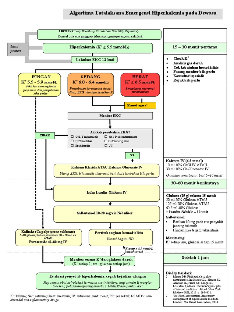 Tatalaksana Emergensi Hiperkalemia | PDF