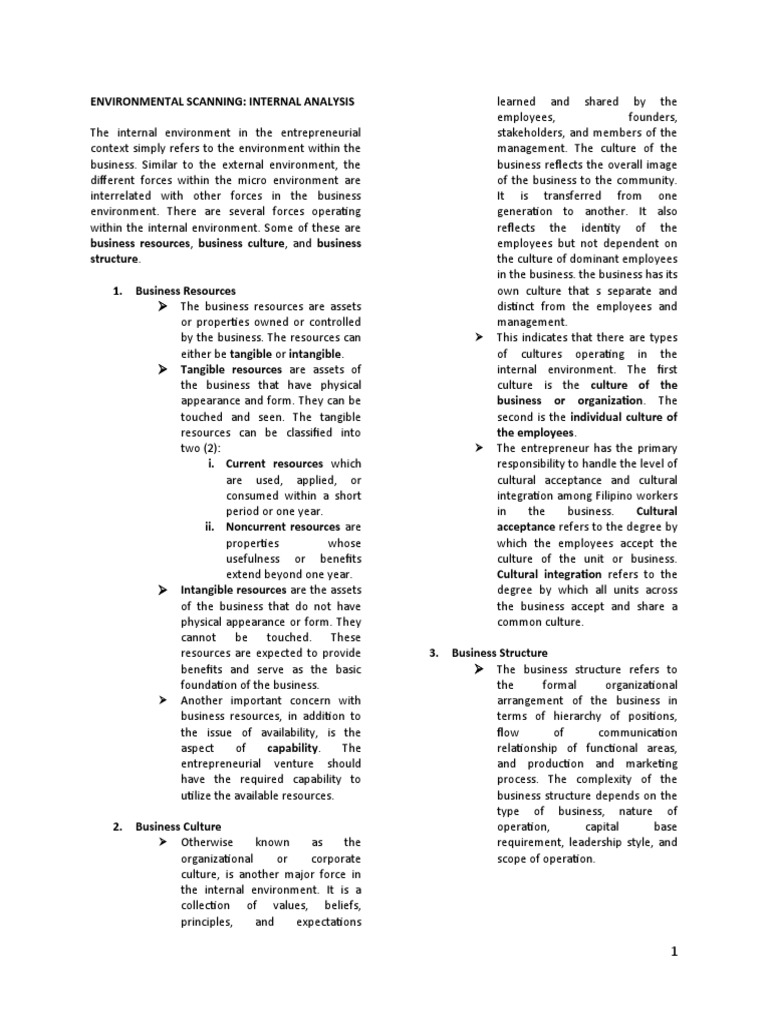 Internal Environmental Scanning Insights | PDF | Entrepreneurship ...