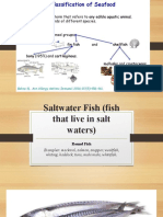 Market Forms of Fish and Fish Products | PDF | Fish | Steak