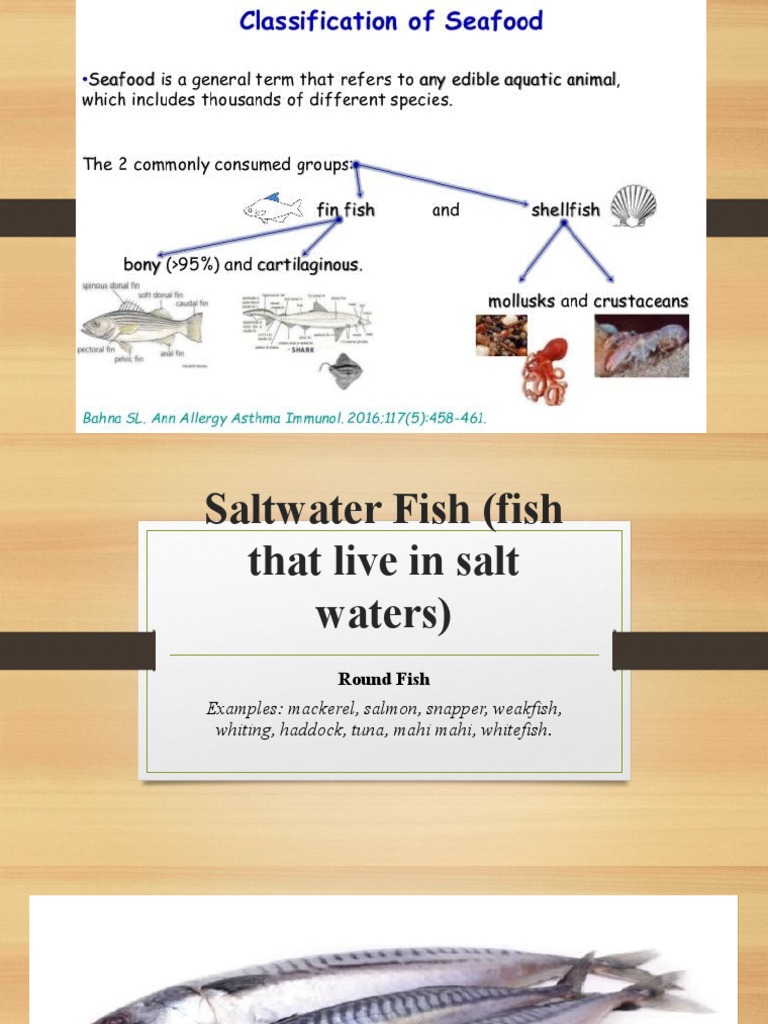 Classification of Seafoods | PDF