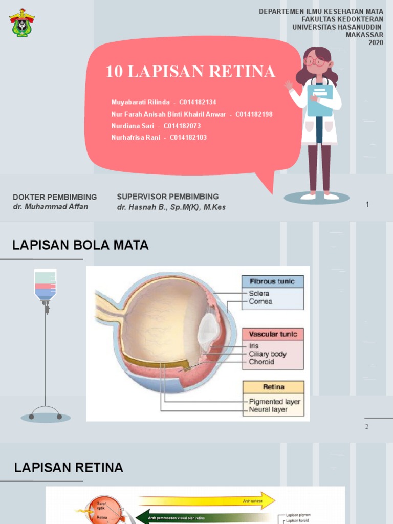Kelompok 6 (10 Lapisan Retina) | PDF