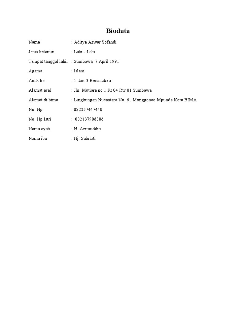 Biodata ADIT | PDF