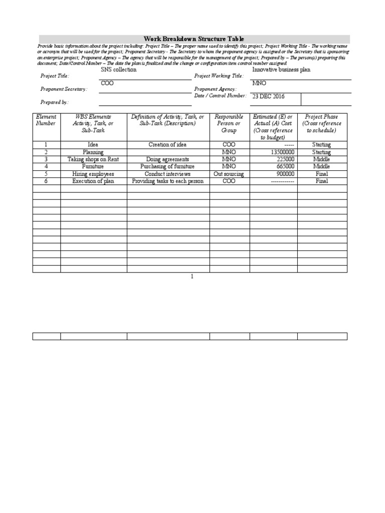 Work Breakdown Structure for SNS Project | PDF | Business
