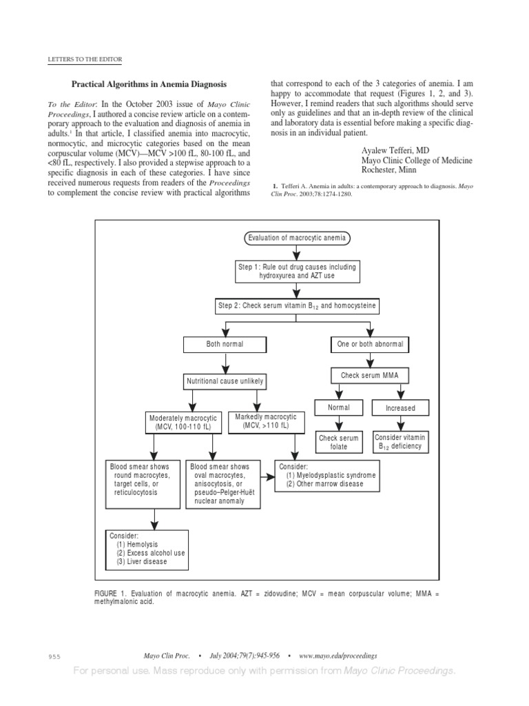 Practical Algorithms in Anemia Diagnosis | PDF | Anemia | Blood