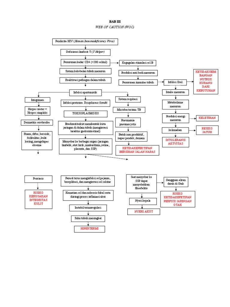 Laporan WOC HIV | PDF