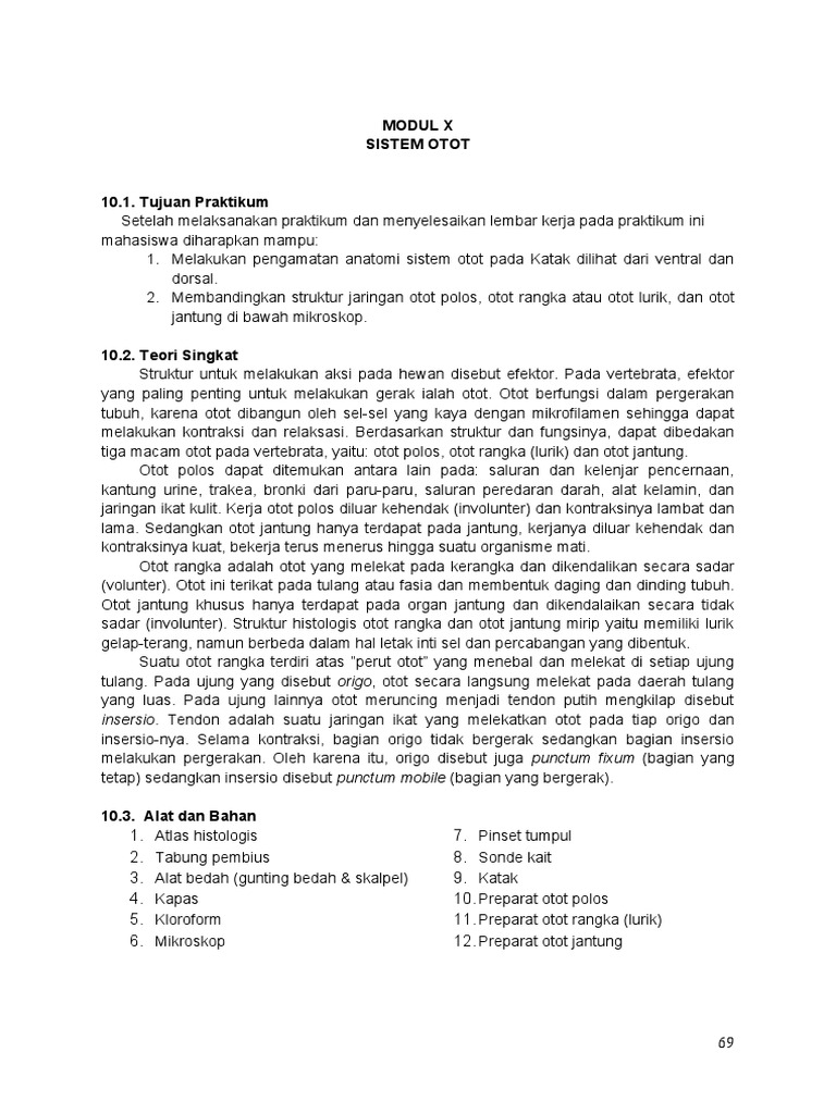 Anatomi dan Histologi Sistem Otot Katak | PDF