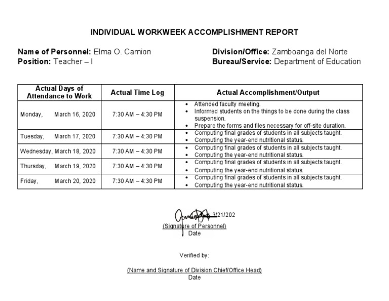 Individual Workweek Accomplishment Report | PDF
