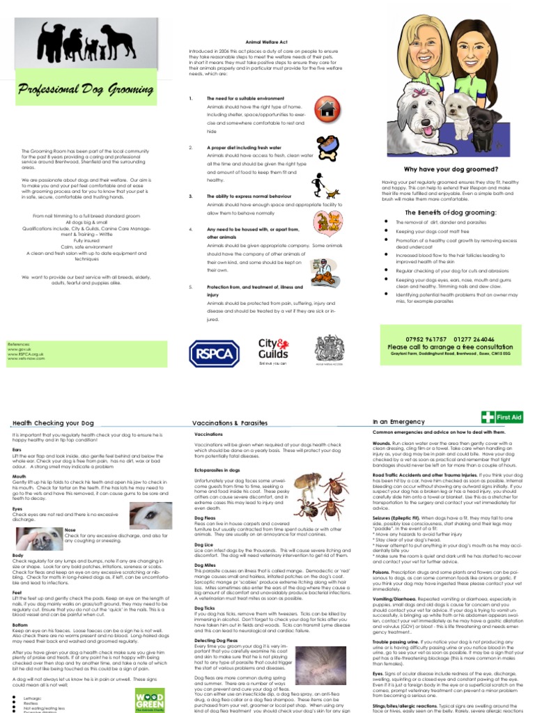 The Grooming Room Grooming Leaflet | PDF | Medical Specialties | Wellness