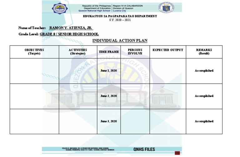 Individual Action Plan Template