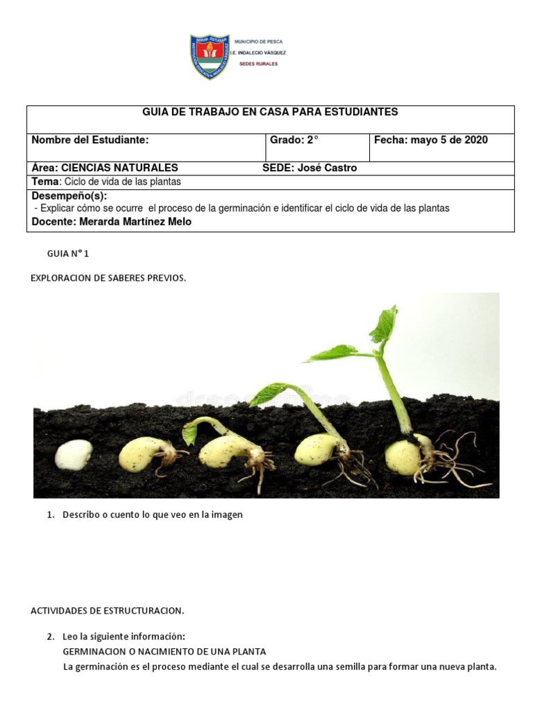 Ciclos de Vida: Plantas y Animales | PDF | Germinación | Plantas