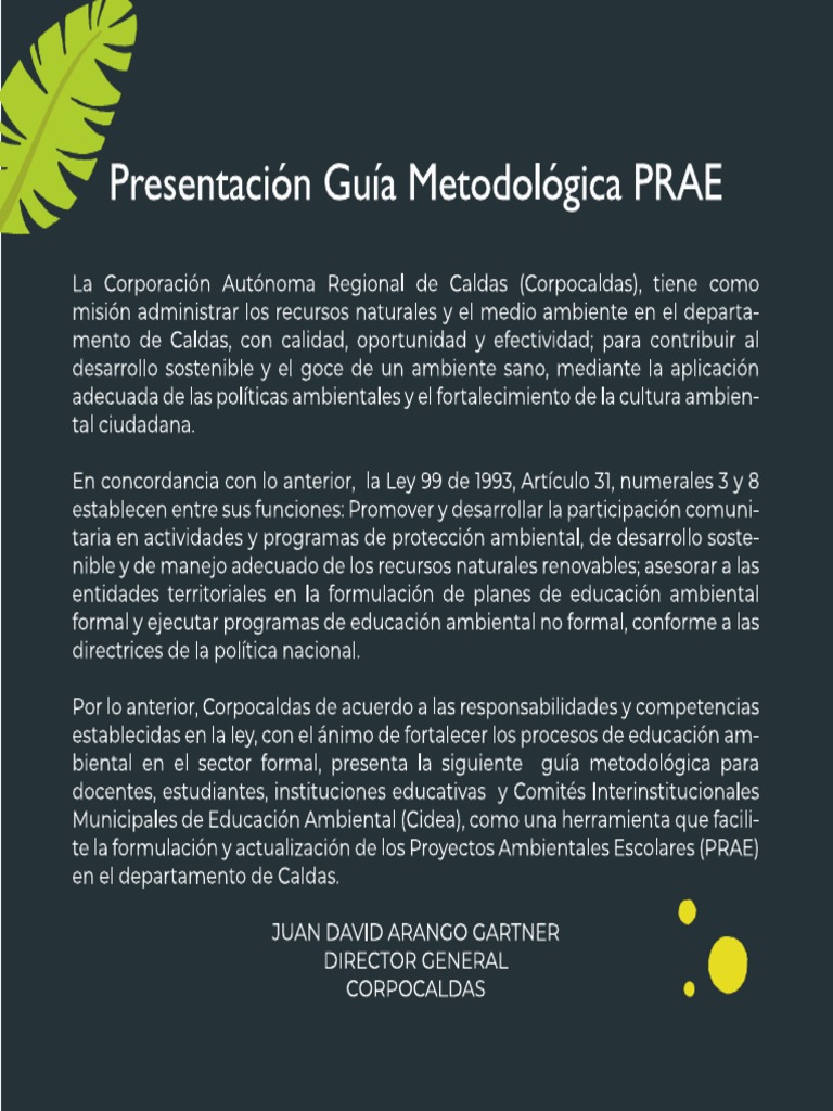 Guía PRAE - Final | PDF