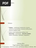 Nosiniu Raidziu Rasymas Zodziu Saknyje - Taisykles - Pask. | PDF