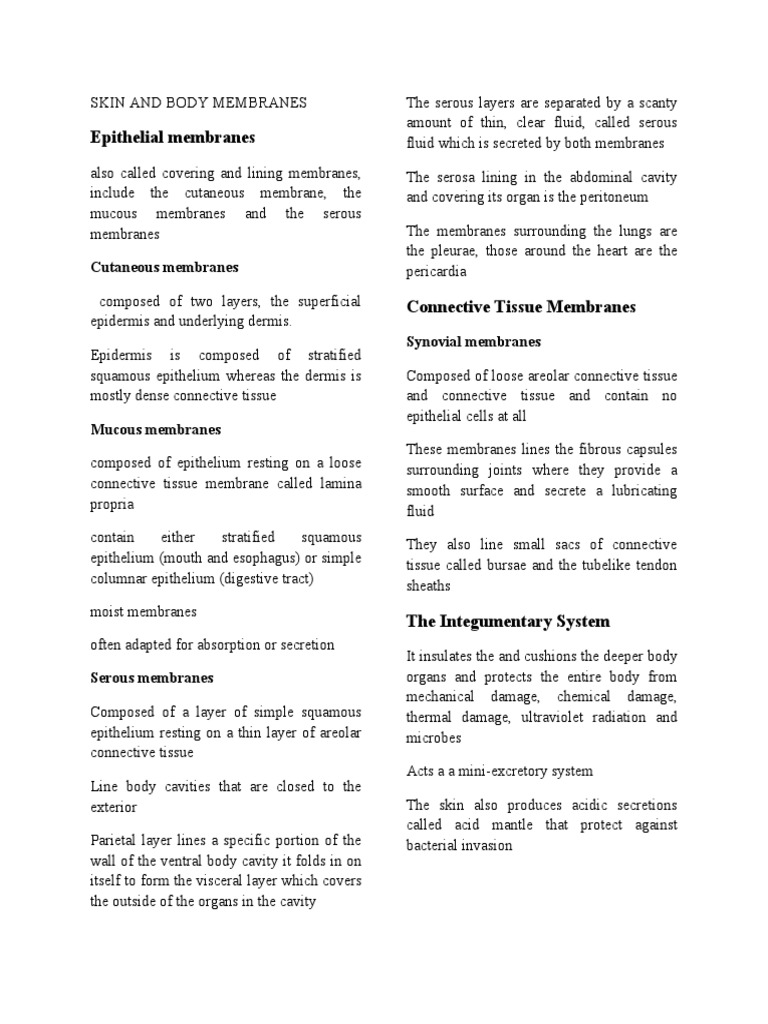 Skin and Body Membranes | PDF | Skin | Epithelium