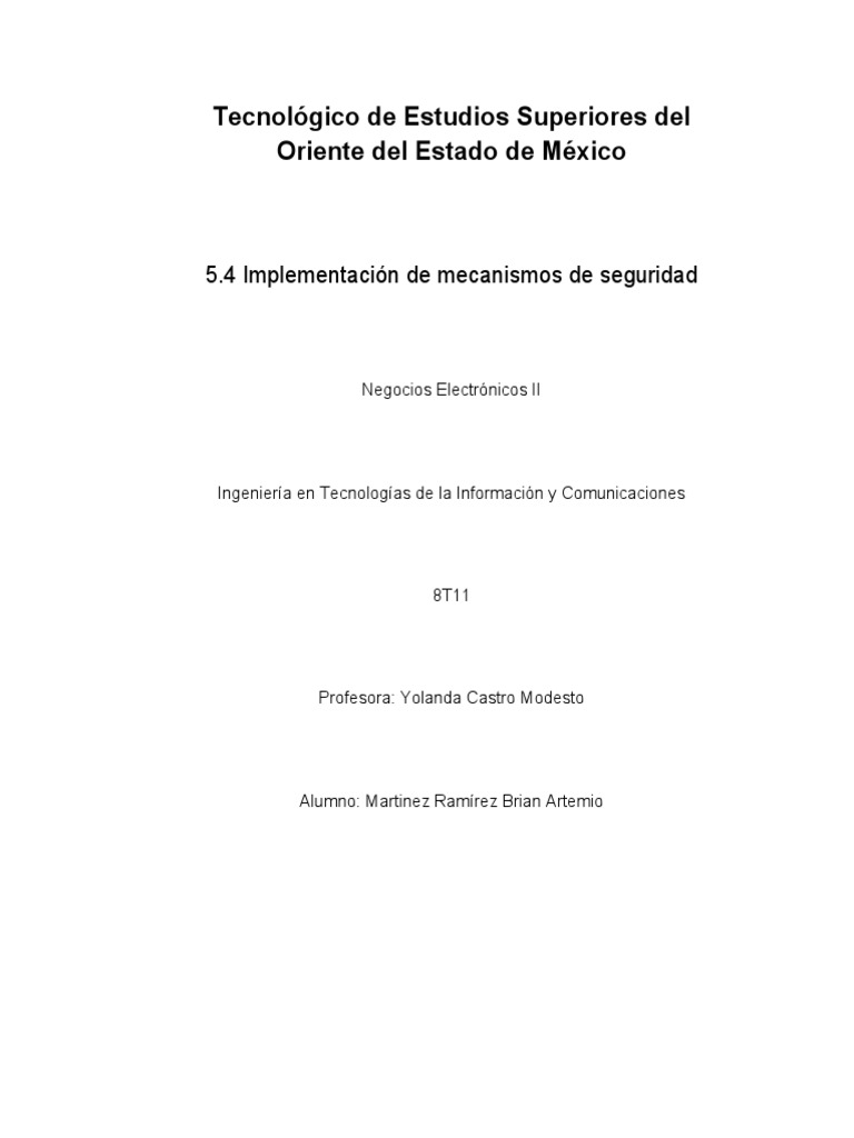 Mecanismos de Seguridad en Conaseg | PDF | Diseño | La seguridad ...
