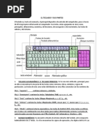 Uso Correcto del Teclado | PDF