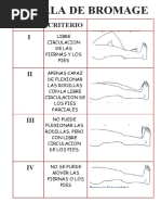 Escala de Bromage | PDF