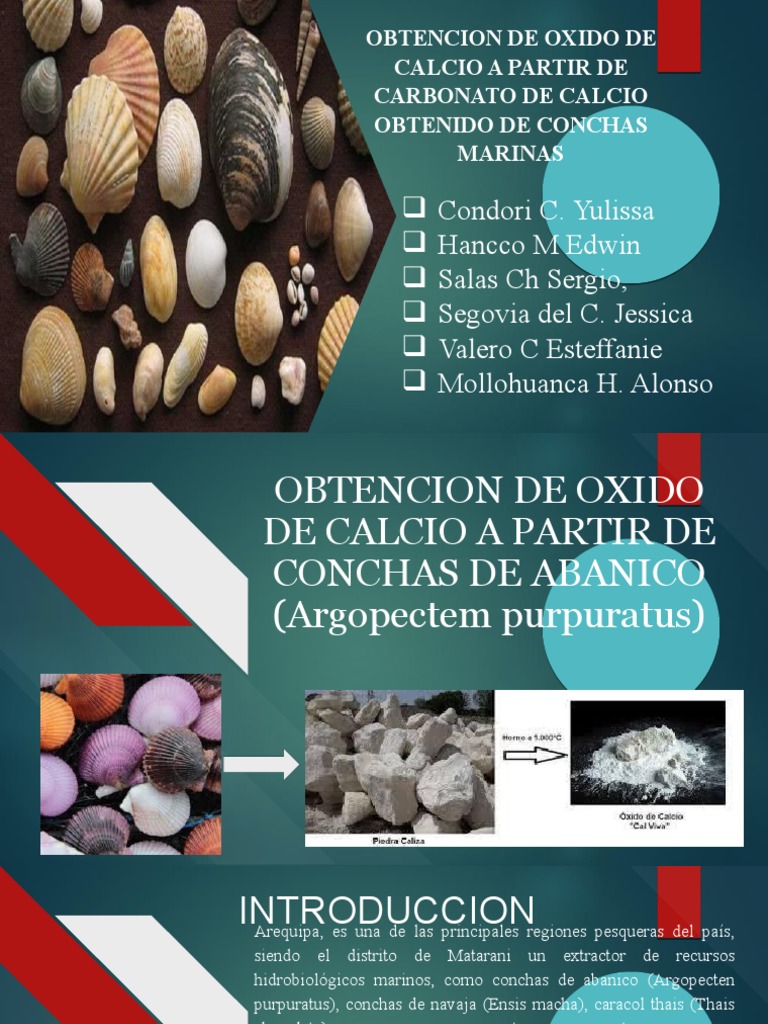 Obtencion de Oxido de Calcio A Partir de Conchas de Abanico | PDF ...