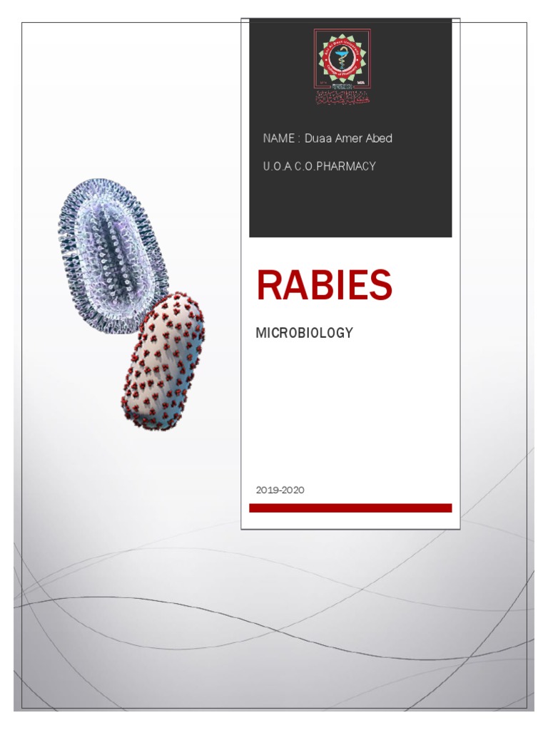 Rabies: NAME: Duaa Amer Abed U.O.A C.O.Pharmacy | Download Free PDF ...