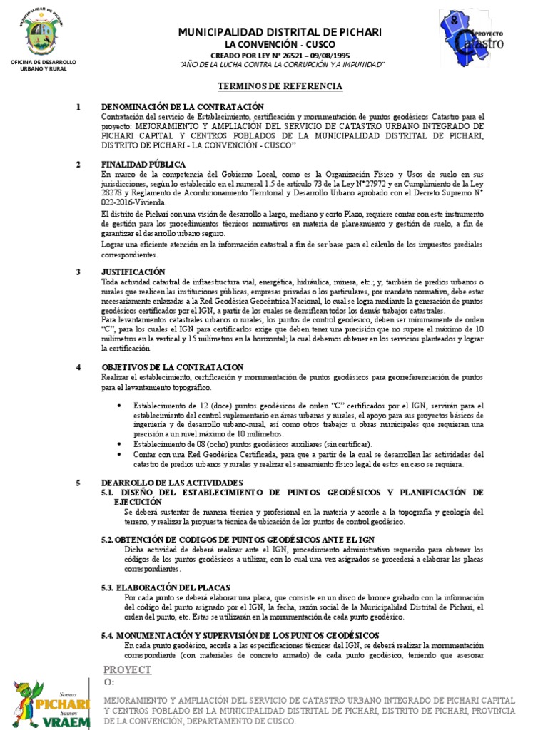 Modelo de TDR | PDF | Planificación urbana | Geodesia