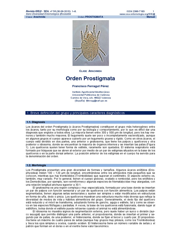 Revista - 14 Orden Prostigmata o Suborden | PDF | Insectos | Organismos