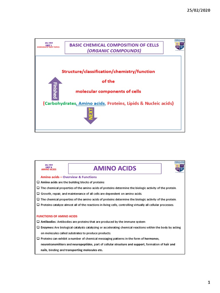 Amino Acids and Proteins - Lecture Notes | PDF | Beta Sheet | Proteins