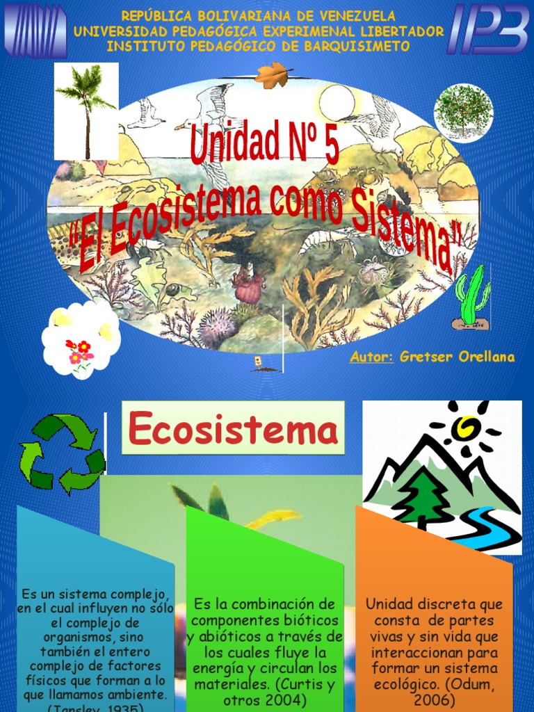 Unidad 5 El Ecosistema Como Sistema | PDF | Biomasa (Ecología) | Red alimentaria