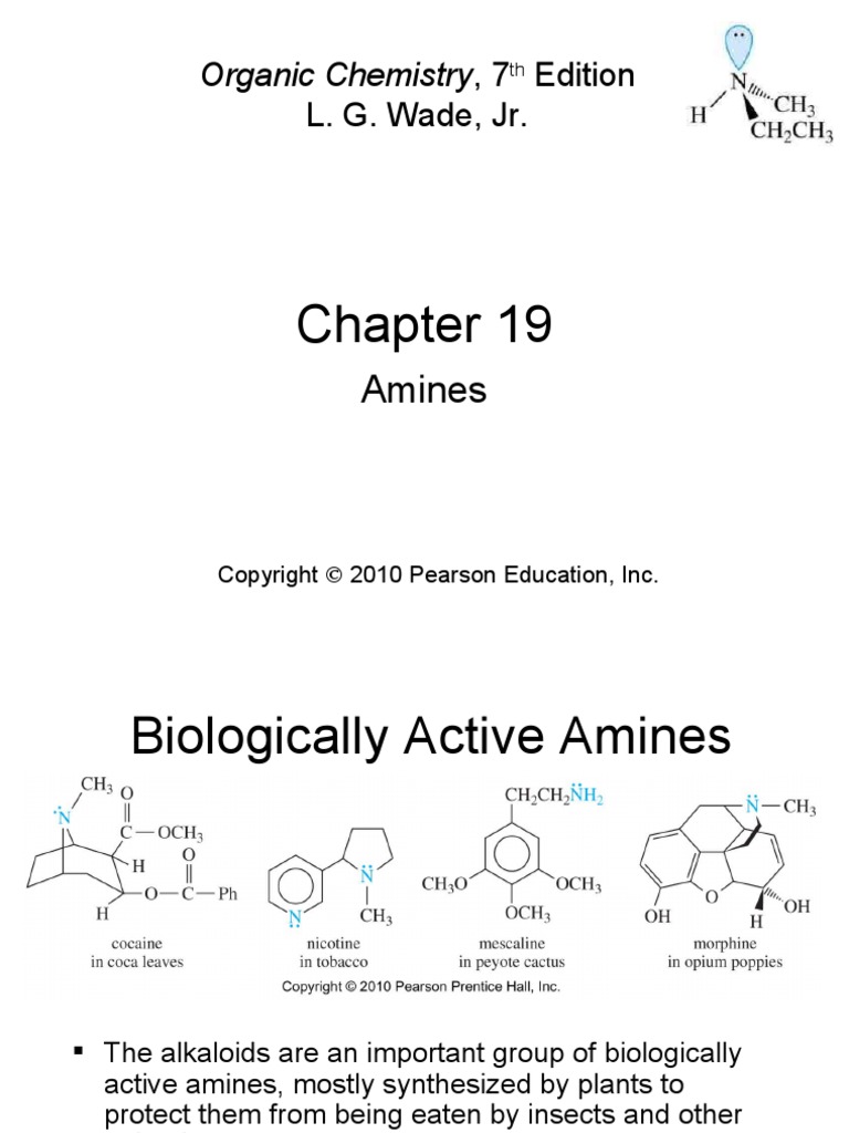Organic Chemistry, 7: Amines | PDF | Amine | Organic Chemistry