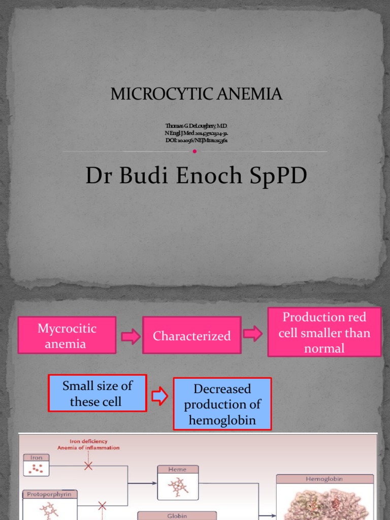 Understanding Microcytic Anemia Causes | PDF | Anemia | Hemoglobin