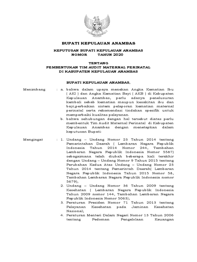 SK Tim Amp | PDF | Kesehatan Holistik