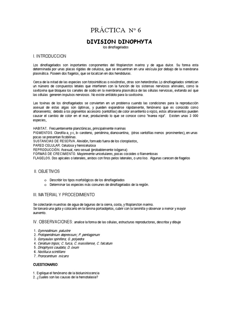 Prã - Ctica N5 Dinophyta | PDF | Organismos | Biología