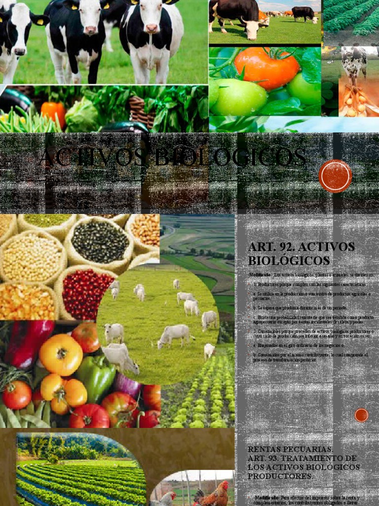 Activos Biologicos | PDF | Impuesto sobre la renta | Contabilidad