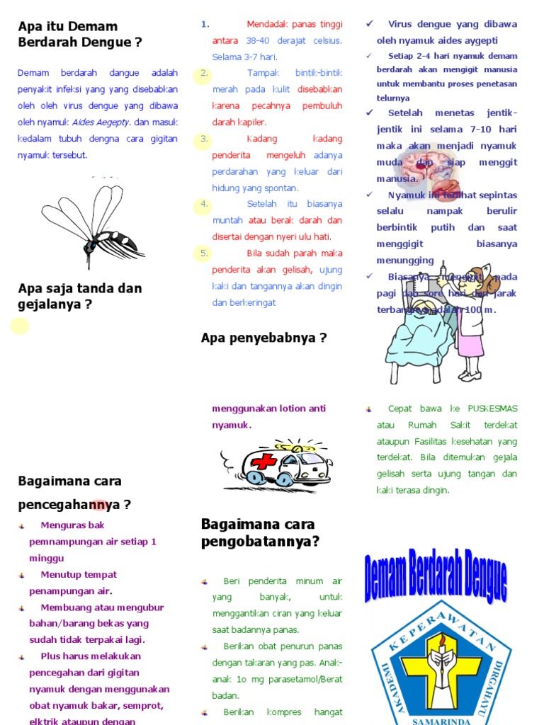 Leaflet DBD | PDF