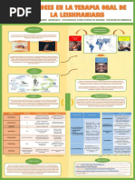 Flevomax 500mg Prospecto | PDF | Amamantamiento | El embarazo