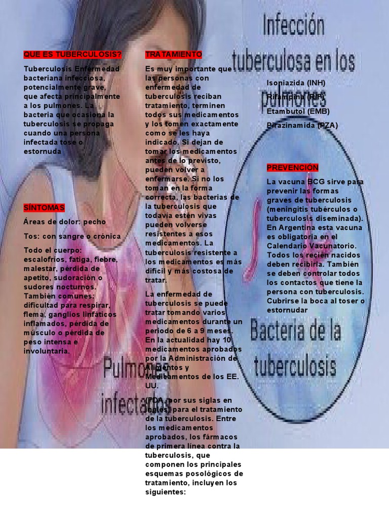QUE ES TUBERCULOSIS Folleto | PDF | Tuberculosis | Medicina CLINICA
