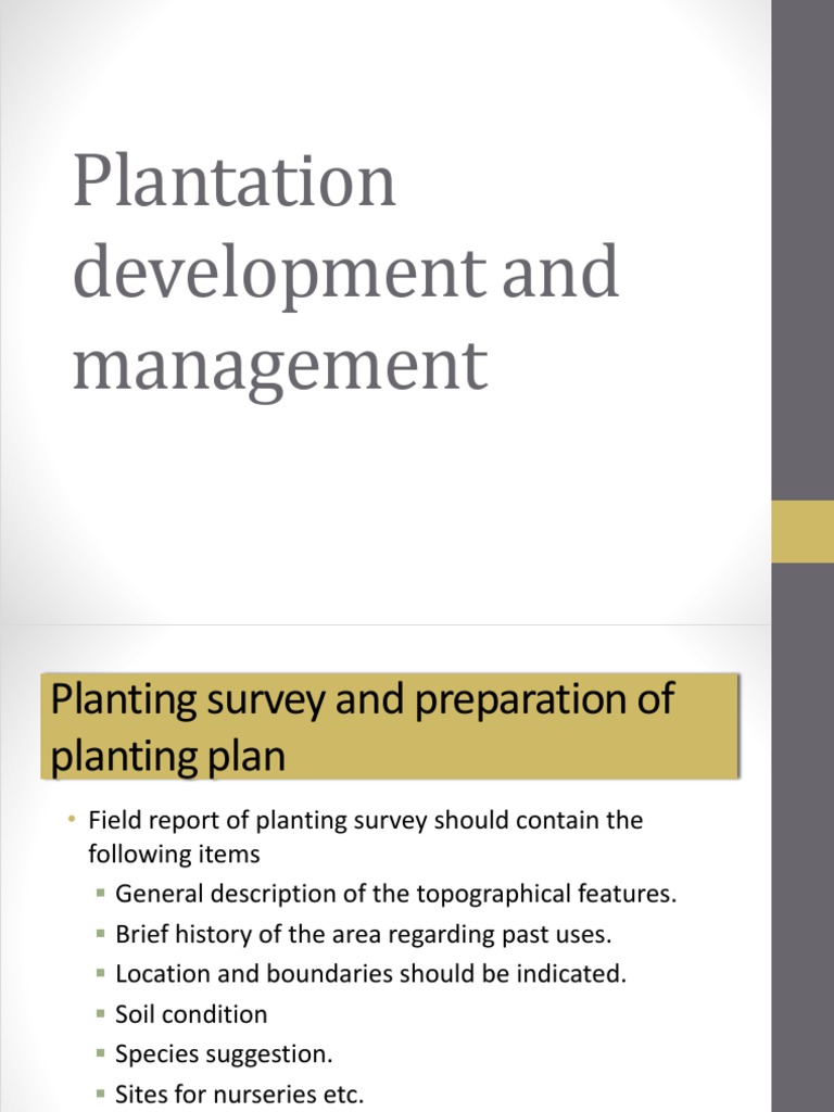Plantation Development and Management | PDF | Soil | Fertilizer