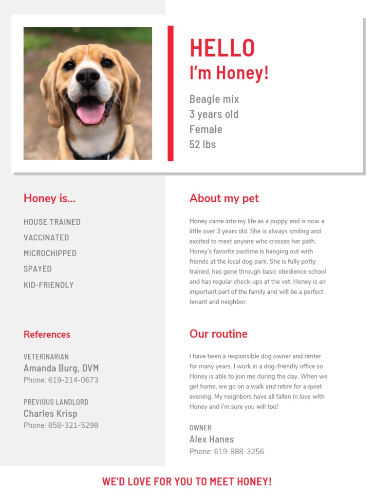 Pet Resume Example | PDF