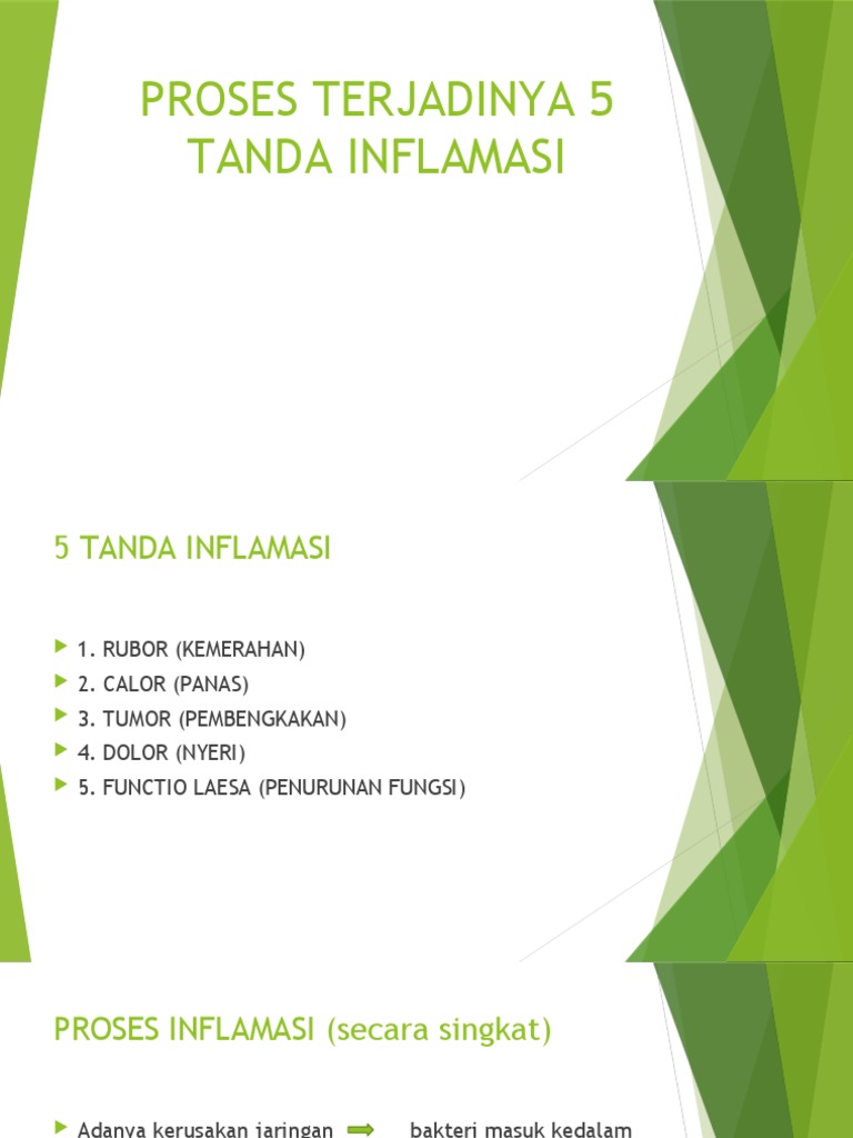 Proses Terjadinya 5 Tanda Inflamasi | PDF | Filsafat | Kesehatan Holistik