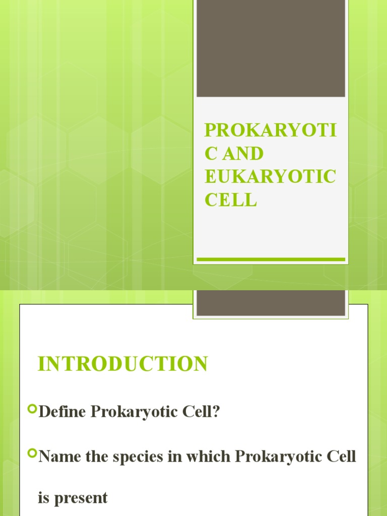 Prokaryotic Cell | PDF | Eukaryotes | Cell (Biology)