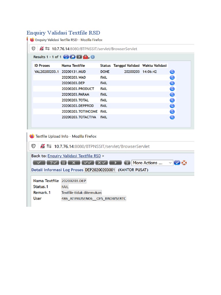 Capture Issue RSD | PDF