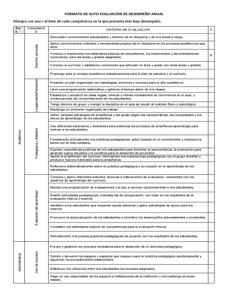 Formato de Auto Evaluación de Desempeño Anual | PDF | Plan de estudios | Evaluación