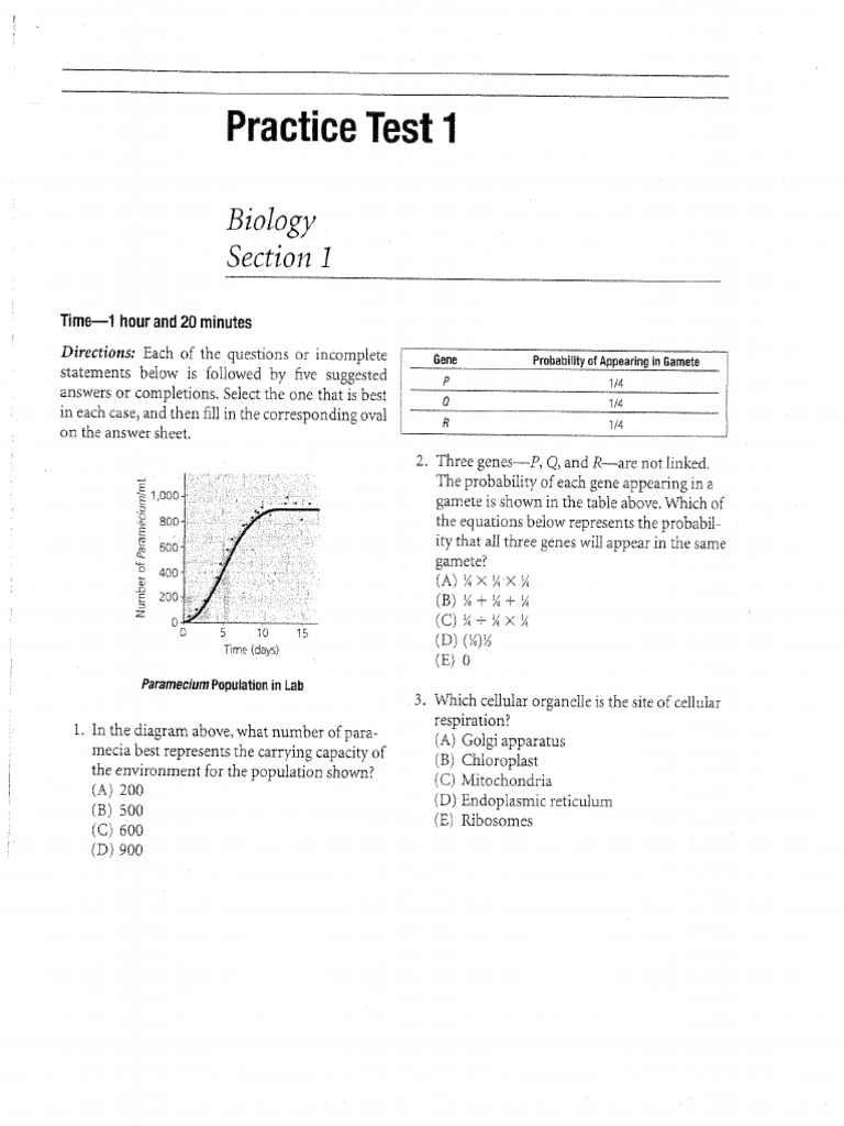 Ap Practice Test 1 PDF | PDF
